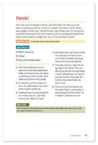 How To Teach A Cat To Fetch [Easy Training Steps] - Curiosity Trained